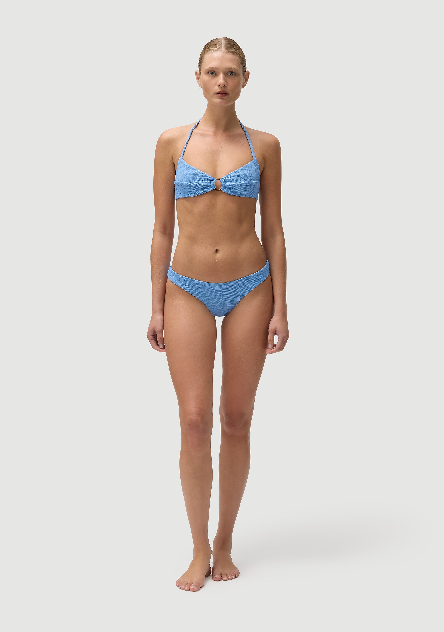 Arthur Top, Lichen Blue