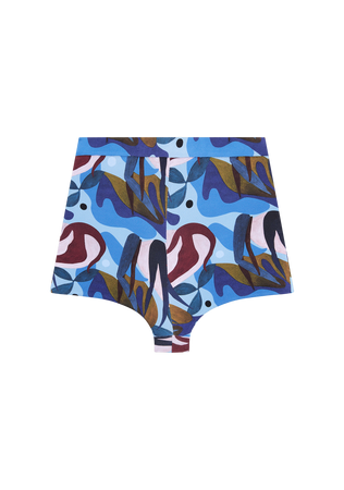 Franz Bottom, Blue Dancer